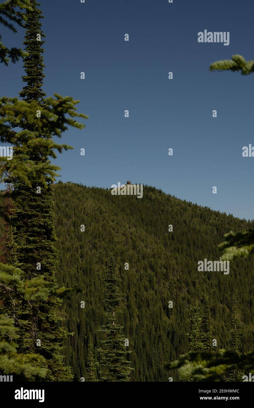 Huckleberry range hi-res stock photography and images - Alamy