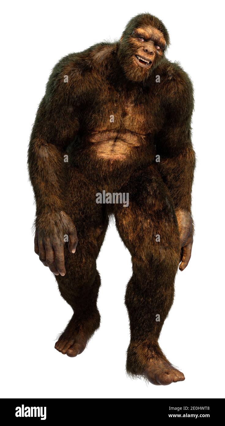 3D rendering of a Sasquatch or Bigfoot isolated on white background ...