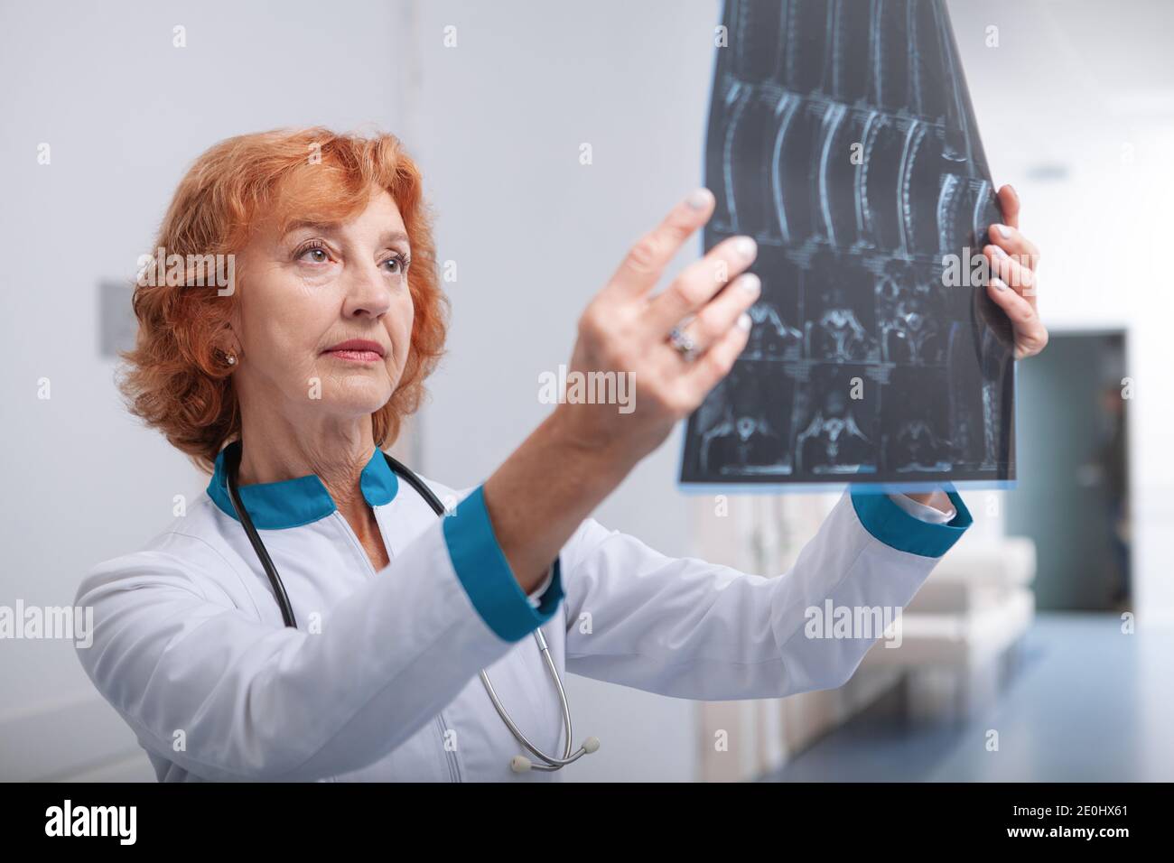 Senior female doctor examining MRI scan of a patient. Experienced ...