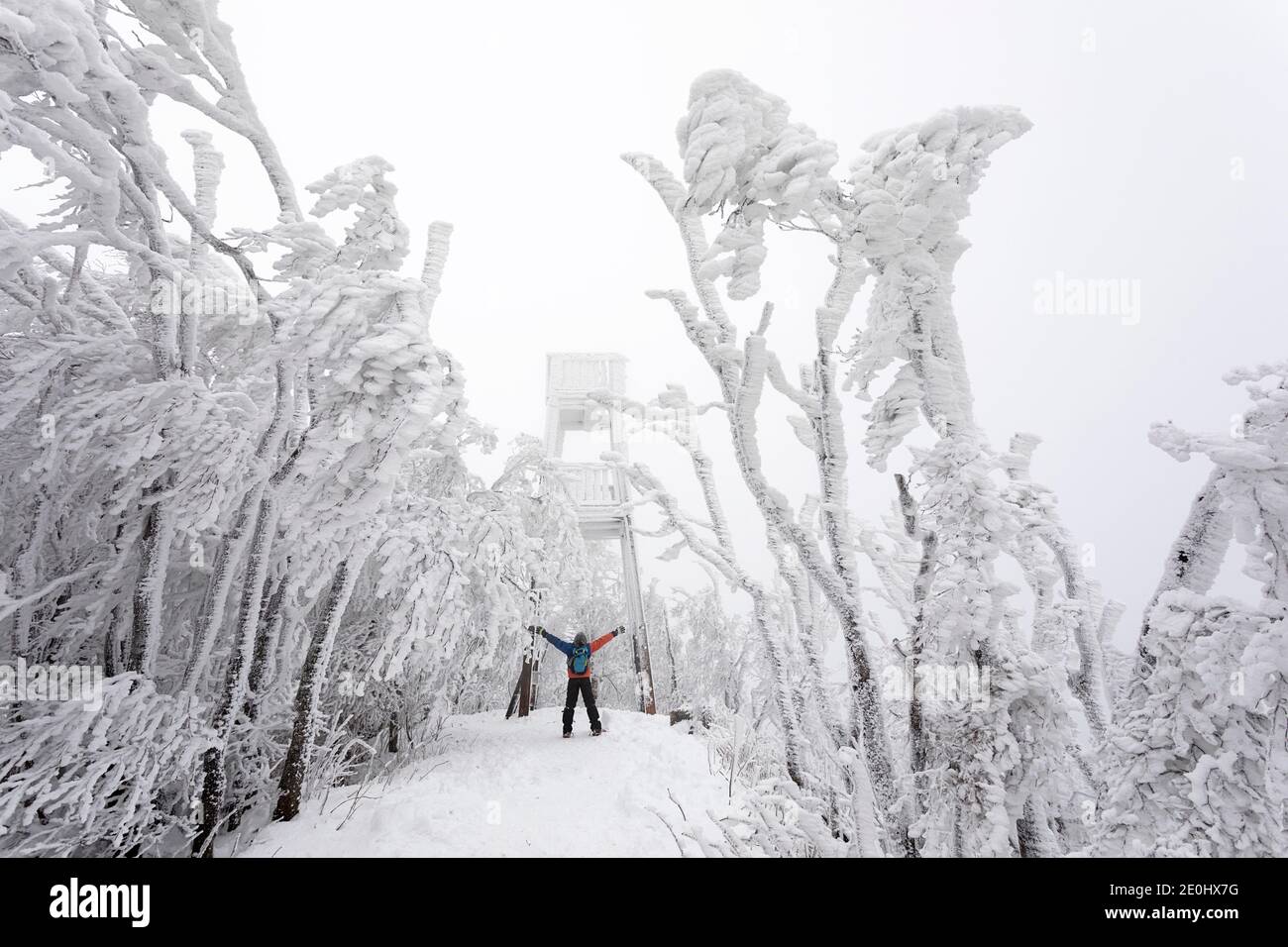 Boy raising hands up in the air from joy at hunting observatory covered ...