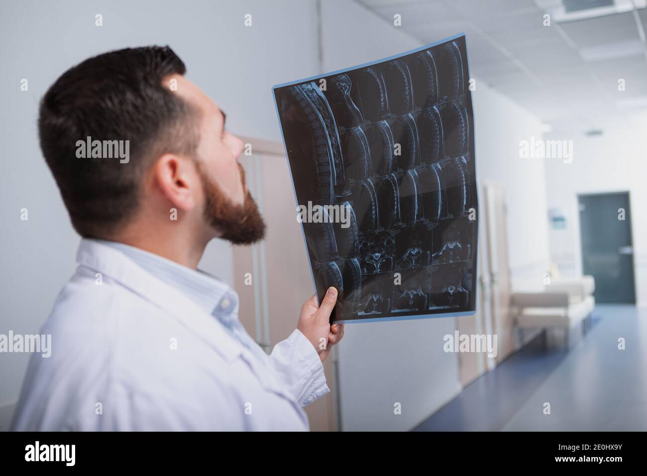Rear view shot of a male doctor concentrating, examining MRI scan of ...