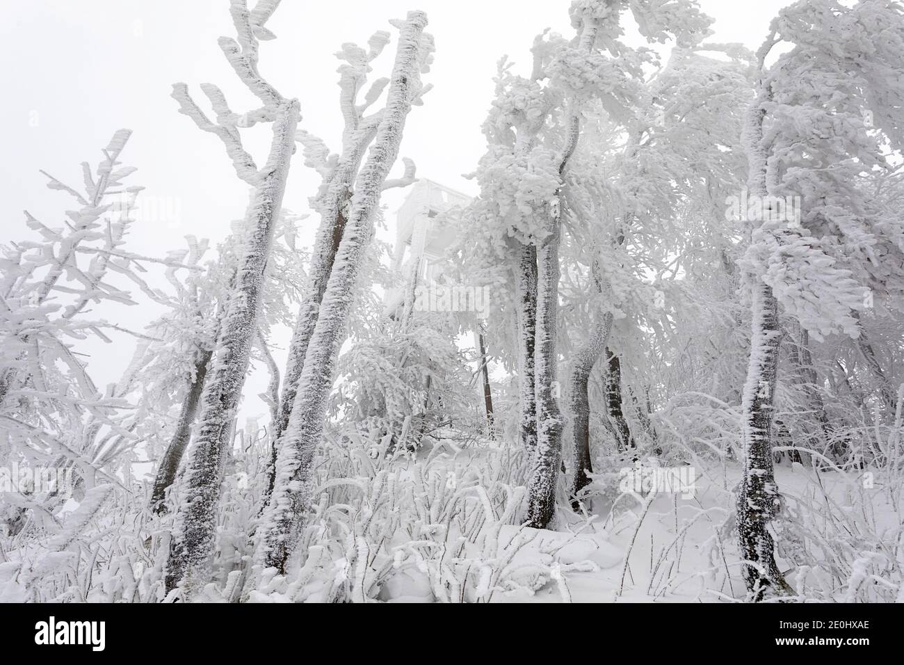 Extreme freeze europe hi-res stock photography and images - Alamy