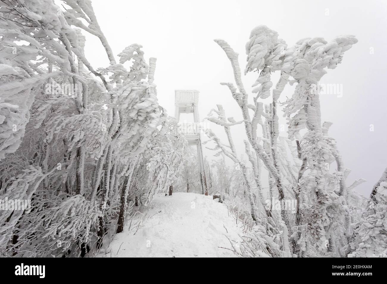 hunting observatory covered in frozen snow in winter Stock Photo - Alamy
