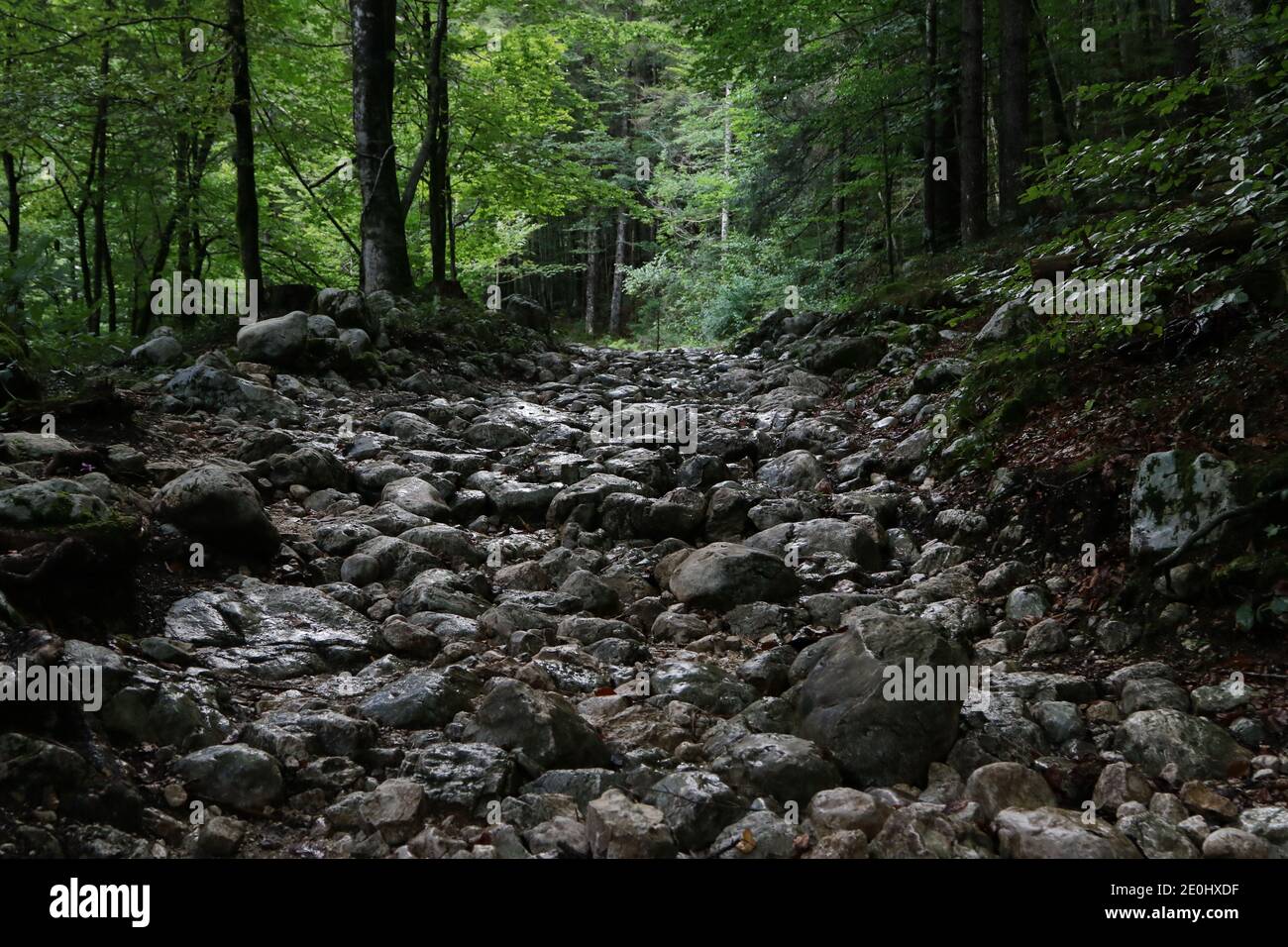 Rocky hiking trail through the forest near Mostnica waterfall, Voje ...