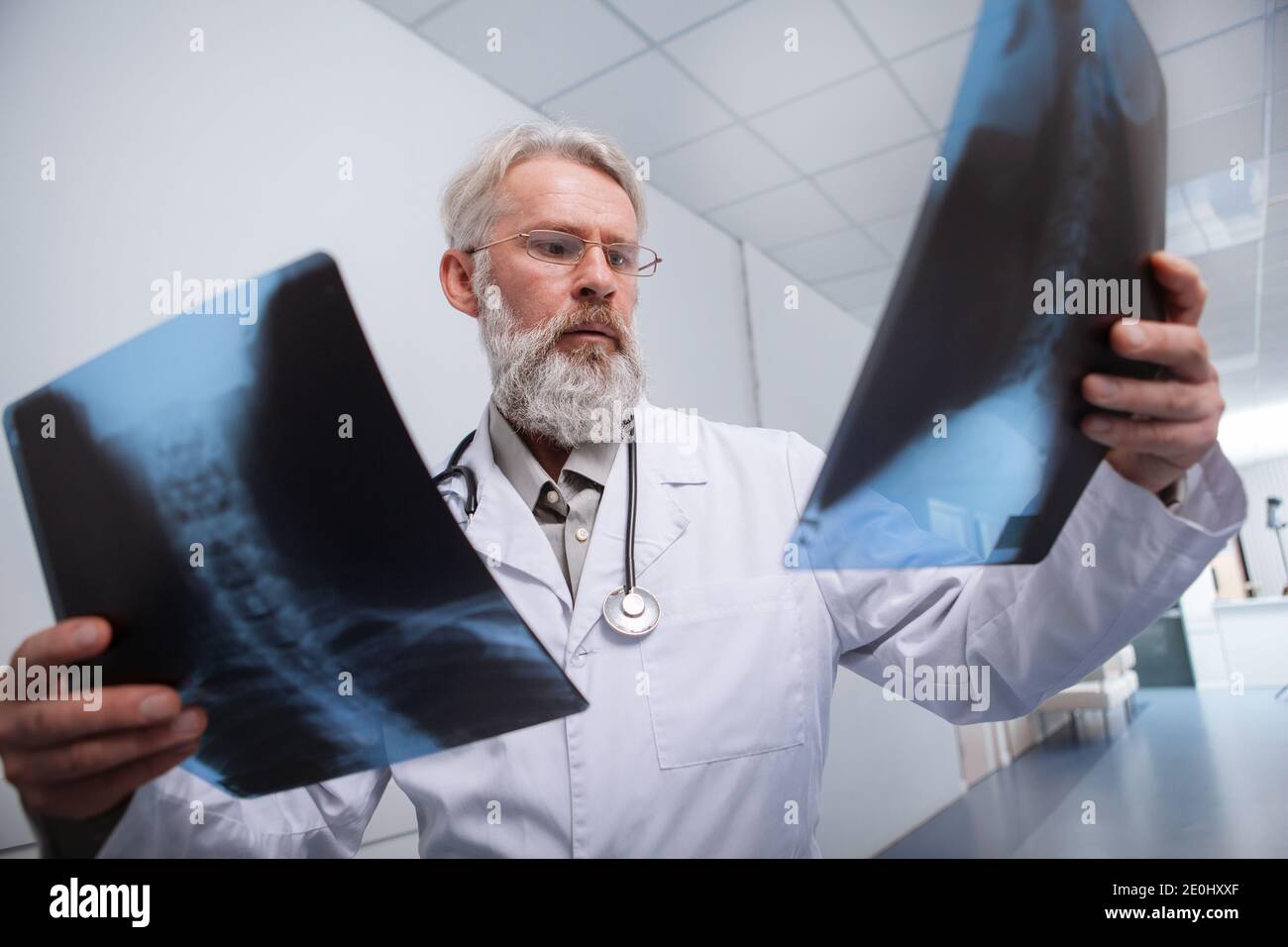 Experienced elderly male radiologist looking at x-ray scans of the ...