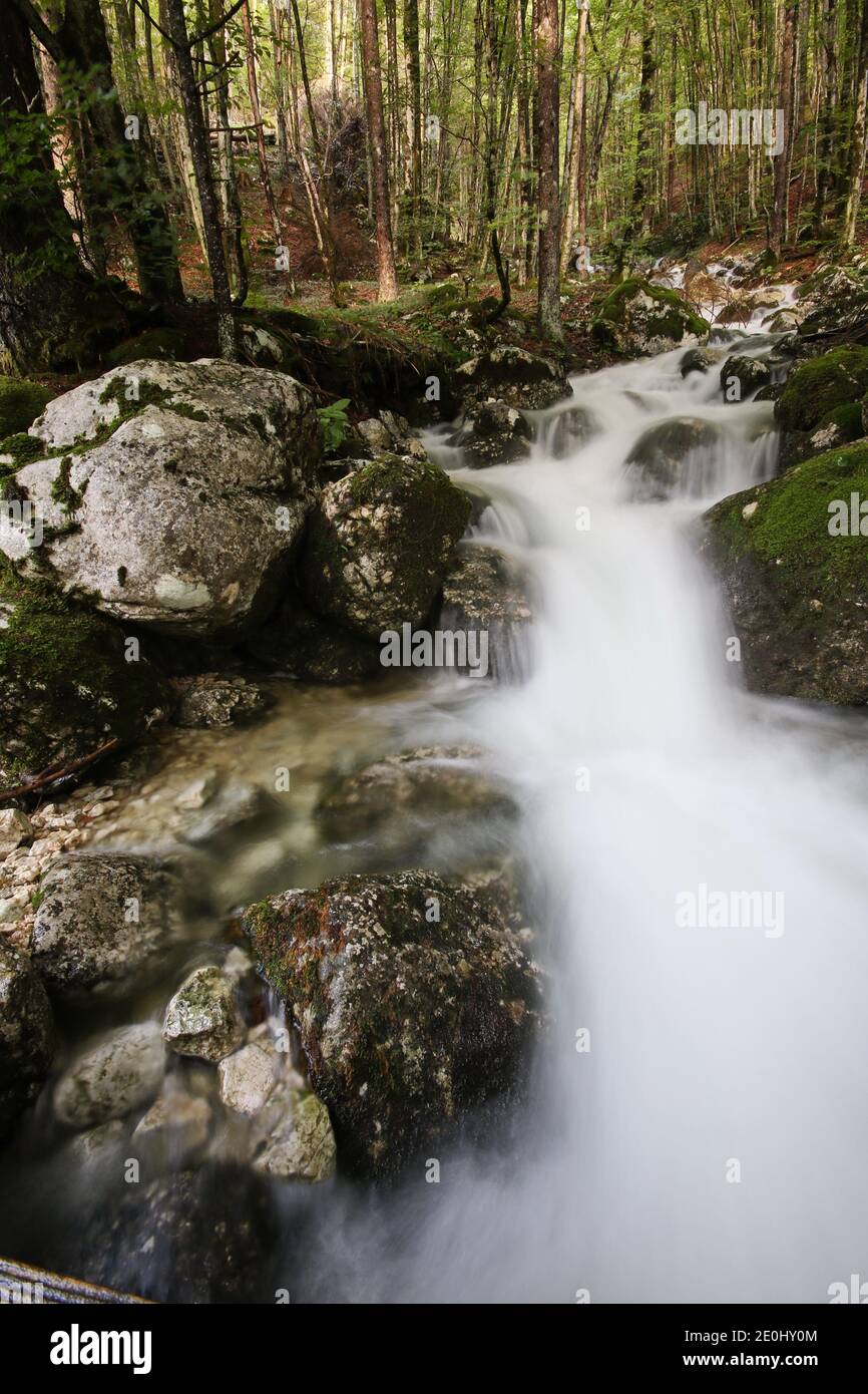 Flowing mountain creek through the forest near Mostnica waterfall, Voje ...