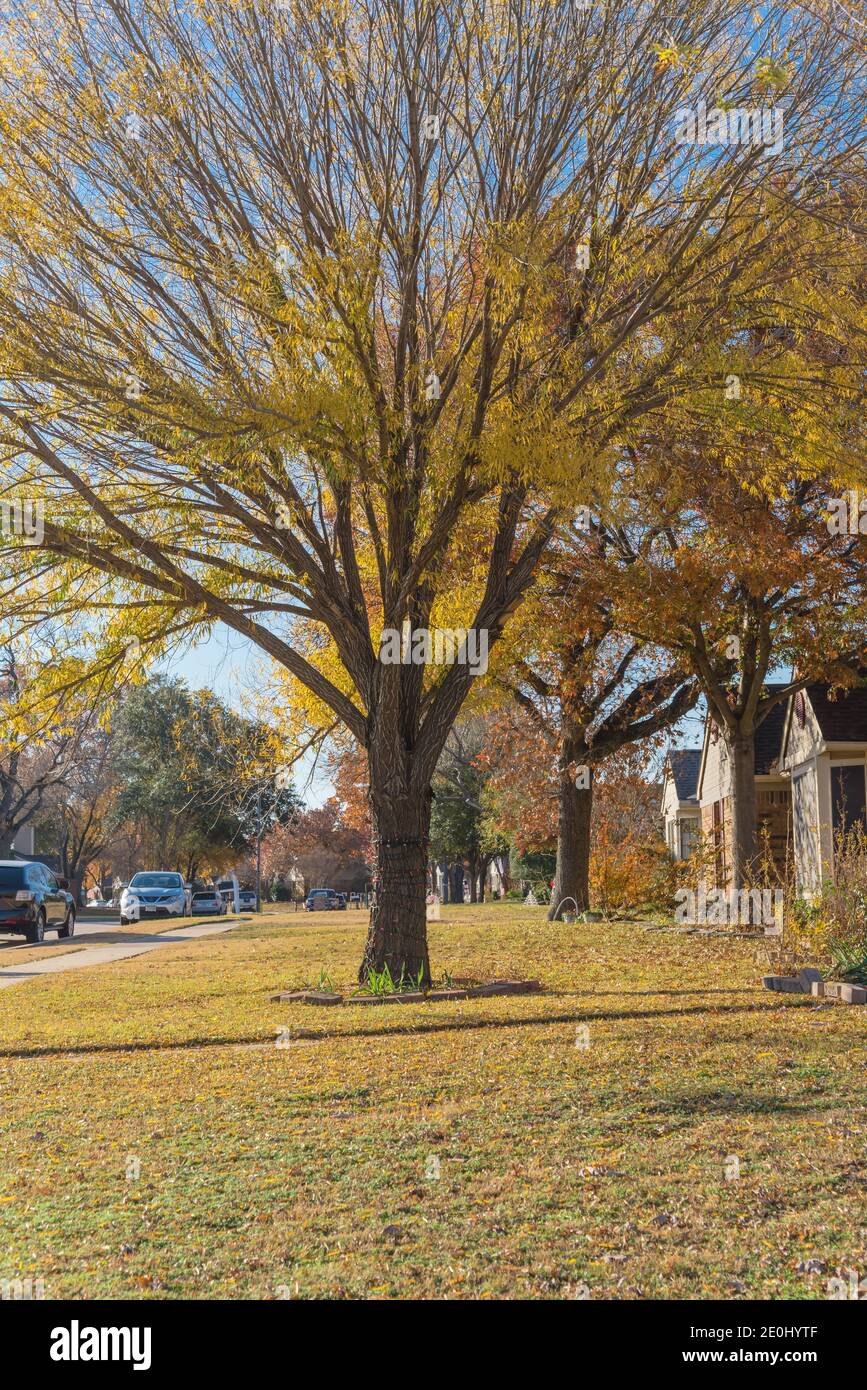 Typical suburban corner house with colorful fall foliage in suburbs ...