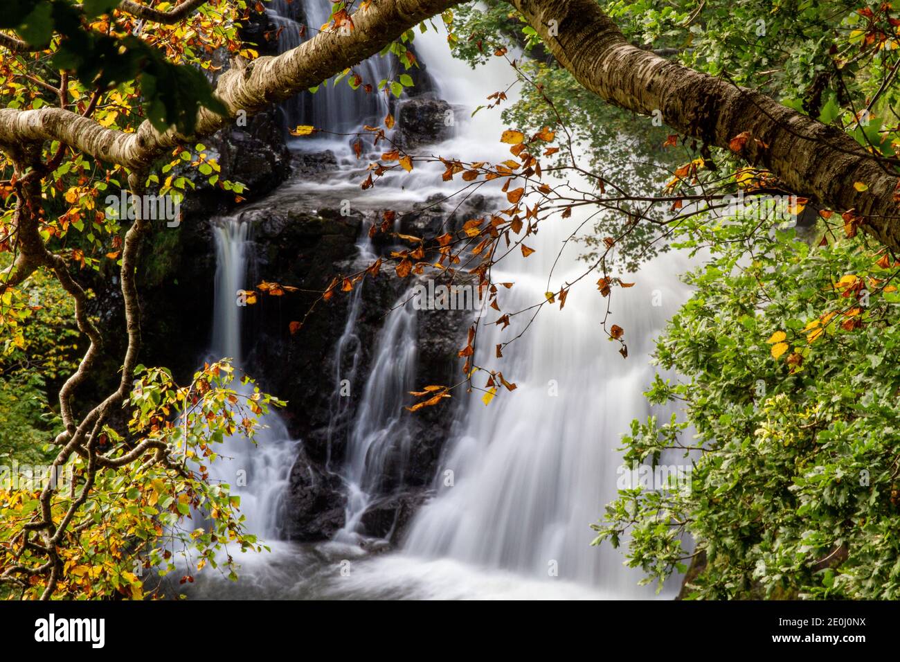 Autumn view of the misty Linn Falls at the famous Angus Glens of Glen ...