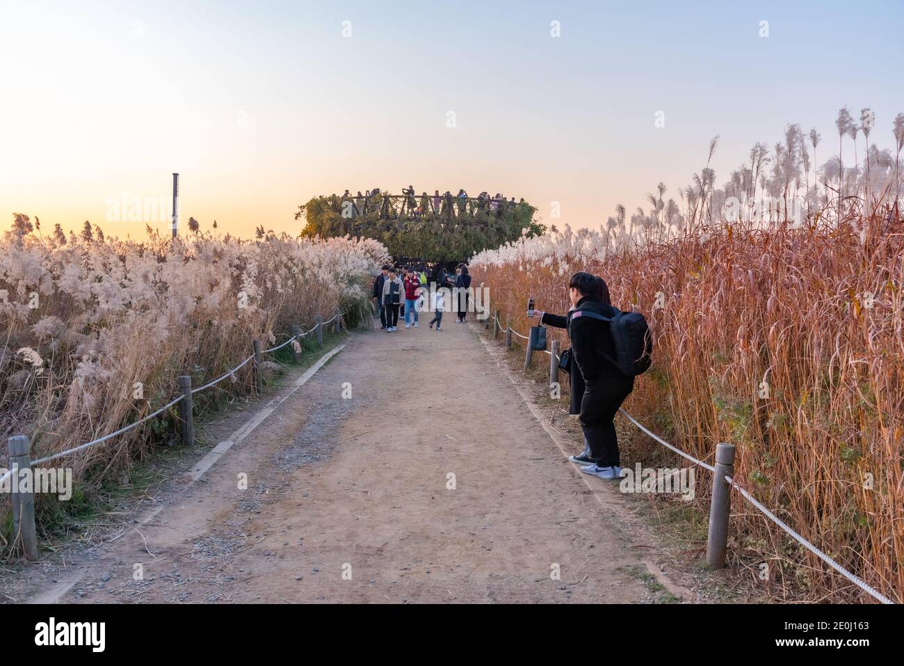 SEOUL, KOREA, NOVEMBER 9, 2019: Sunset view of a viewpoint platform at ...