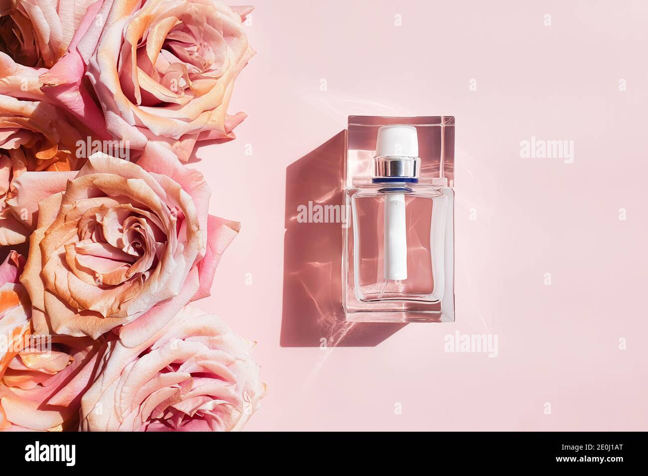 Perfume glass bottle with trendy shadow and pink golden roses on a ...