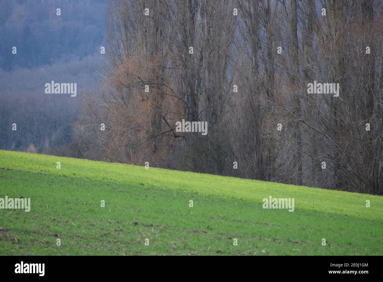 Sloping field hi-res stock photography and images - Alamy