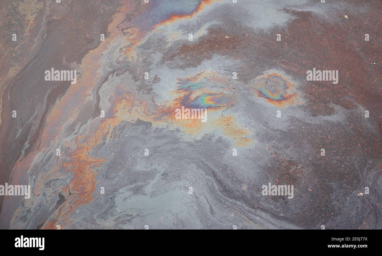 Oil slick and bird hi-res stock photography and images - Alamy