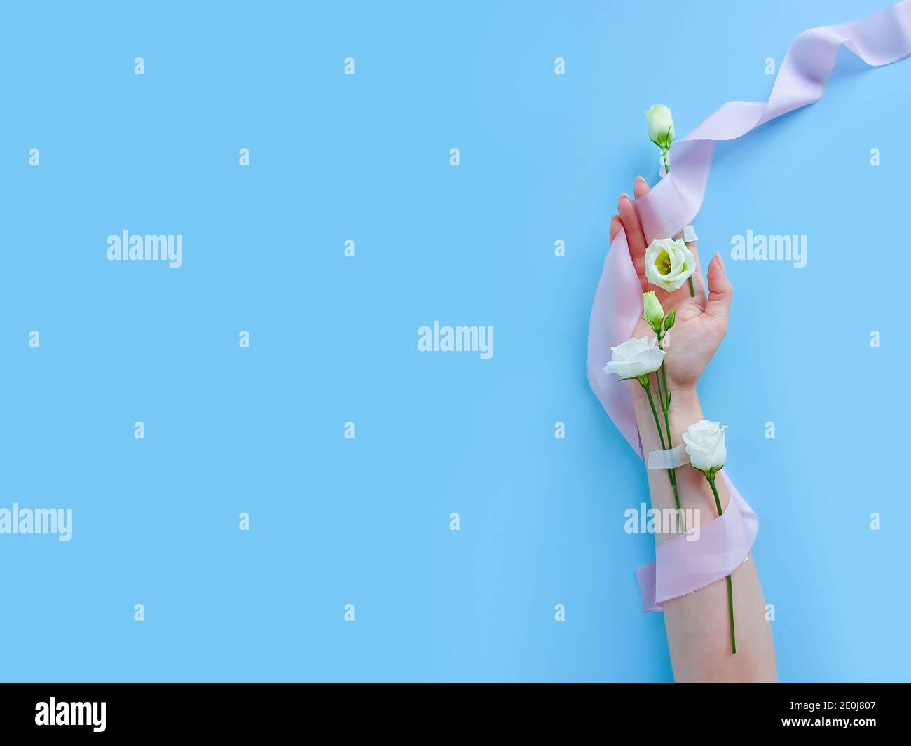 Top view female hand cuts hi-res stock photography and images - Alamy