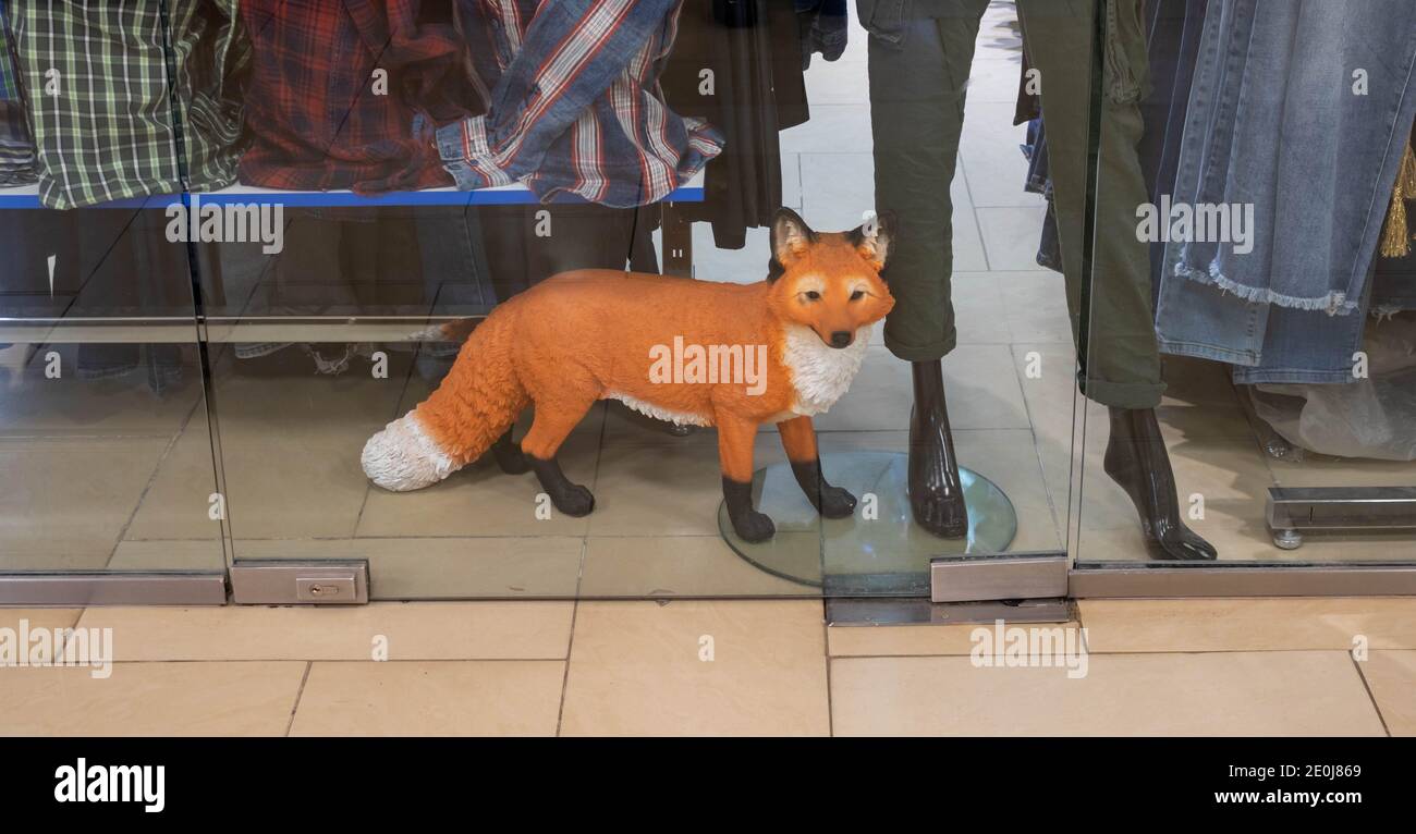 Modern creatively hi-res stock photography and images - Alamy