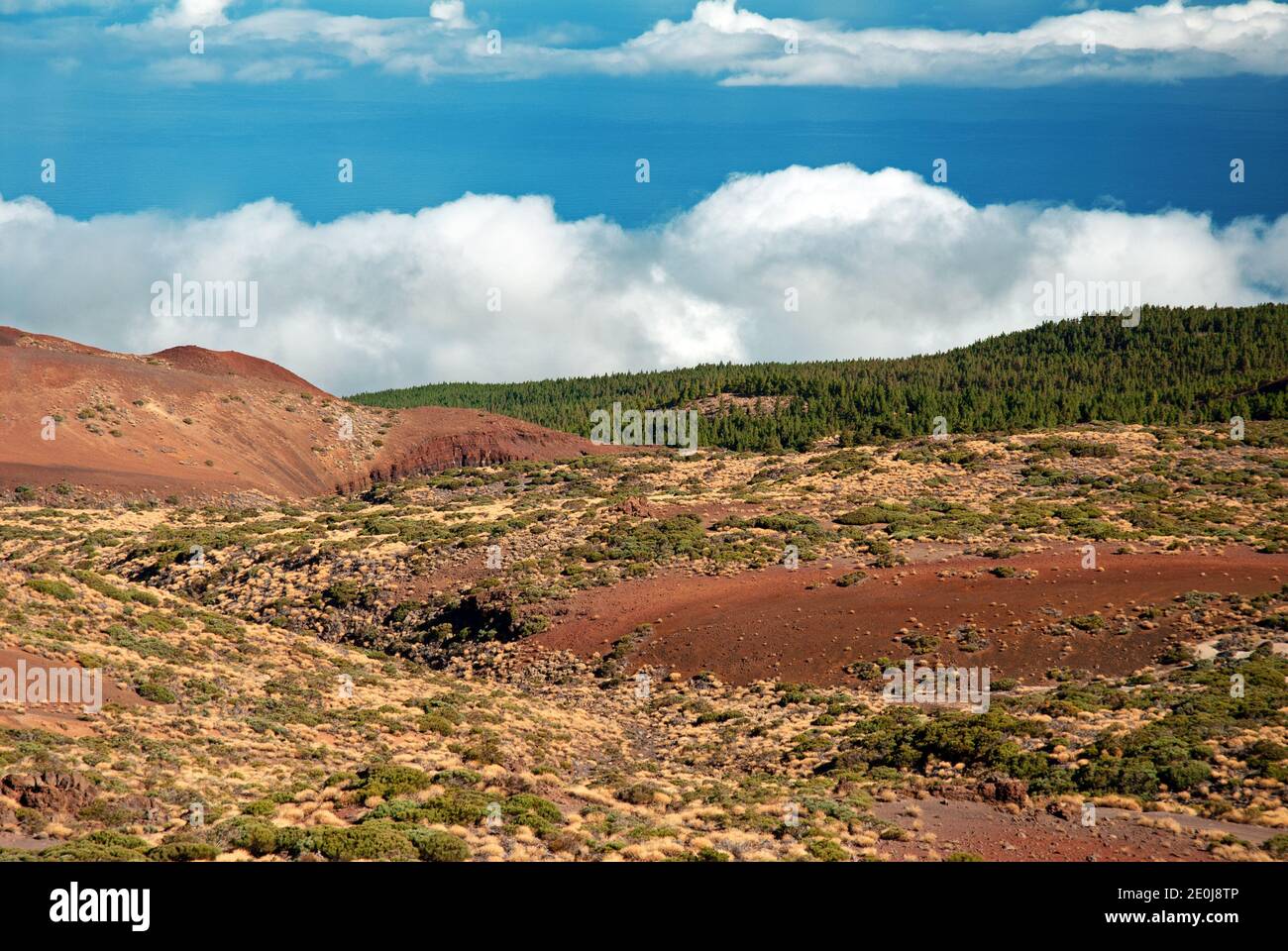 Teide National Park is centred on the Mount Teide volcano in Tenerife ...
