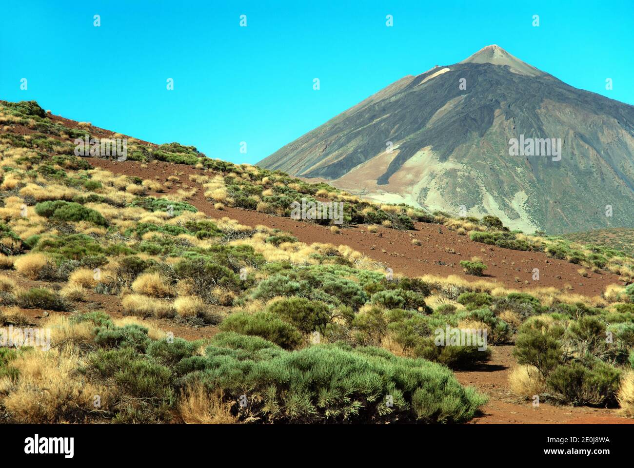 Teide National Park in Tenerife is centred on the Mount Teide volcano ...