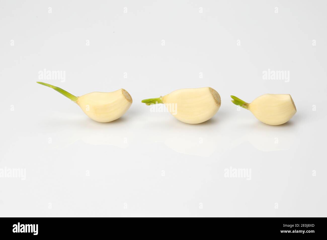 three heads of garlic on a white background Stock Photo - Alamy