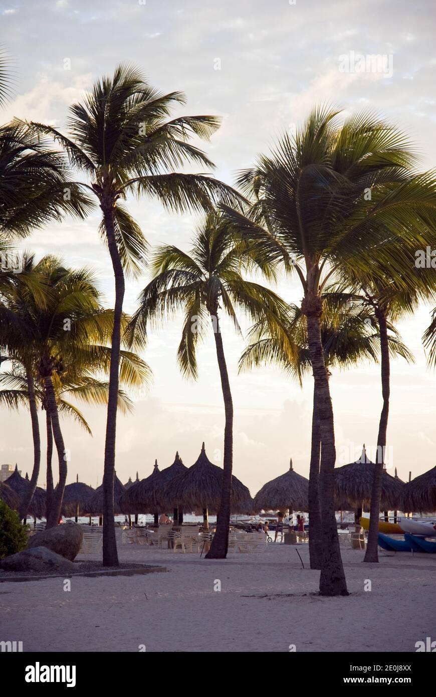 Sunset behind coconut palms, beach huts, on the High Rise Hotel area ...