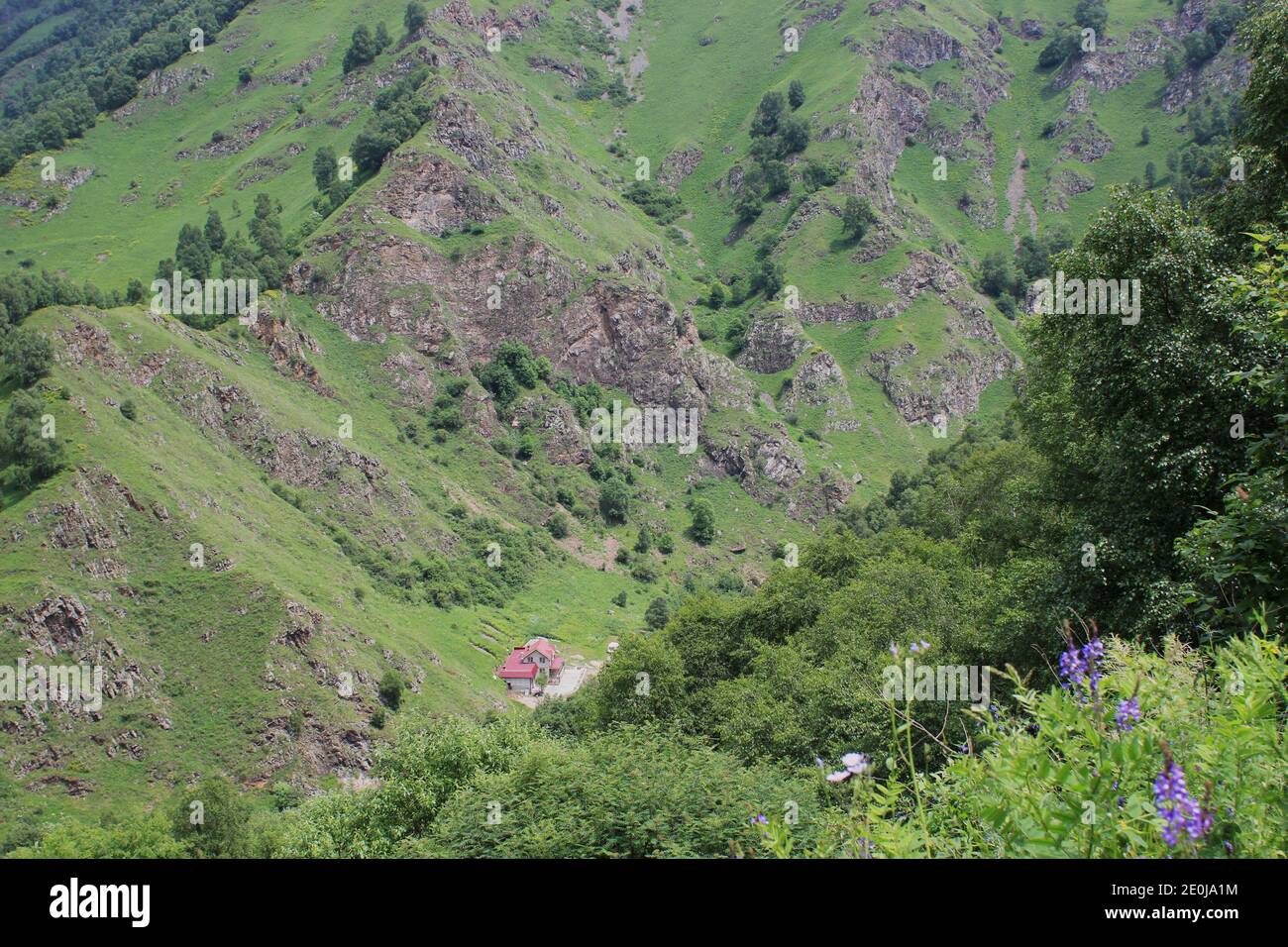Mountain landscape. Beautiful nature, mountain gorge Stock Photo - Alamy