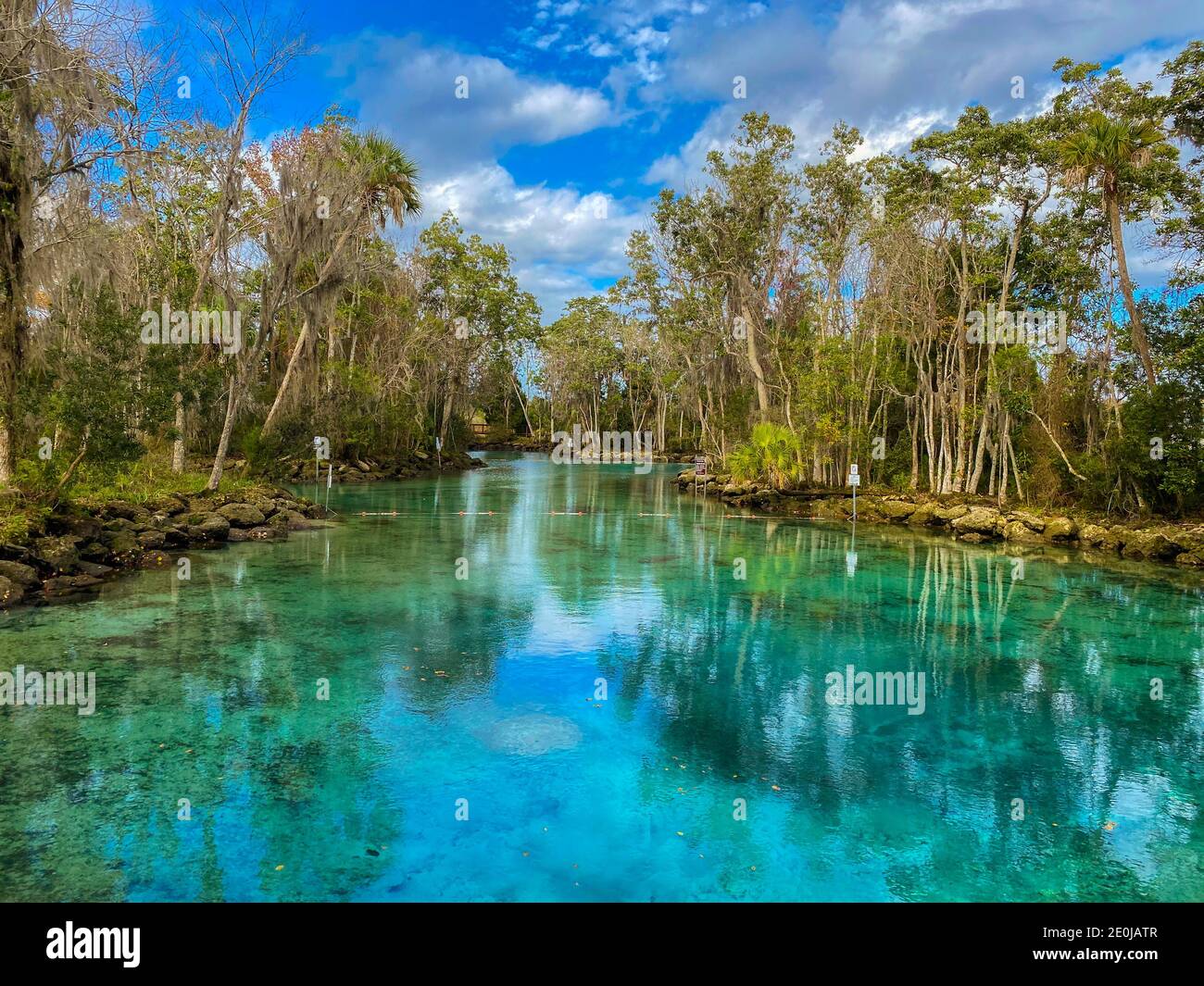 Florida manatee crystal river hi-res stock photography and images - Alamy