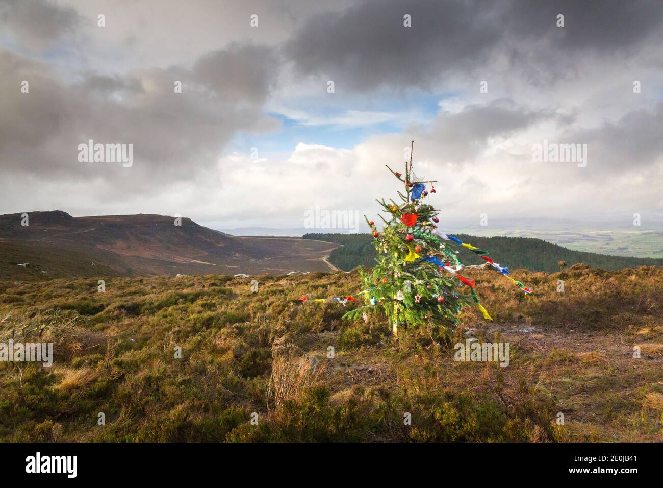 Christmas tree with baubles and colourful prayer flags on the top of ...