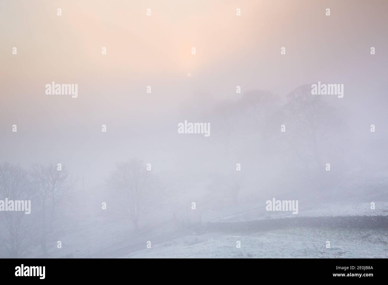 Trees laced with hoar frost and shrouded in freezing hill fog on a cold ...