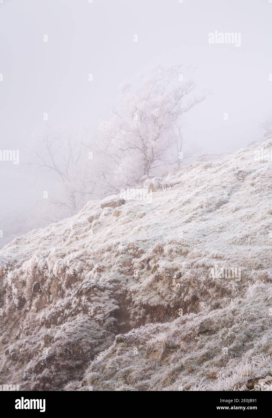 Fog laced scenery hi-res stock photography and images - Alamy
