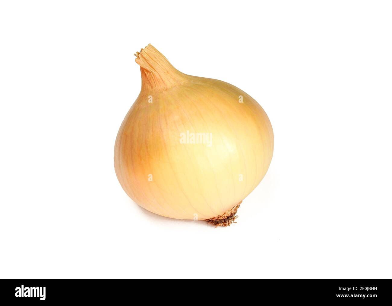Fresh onion bulb isolated on white background. Golden color vegetable ...