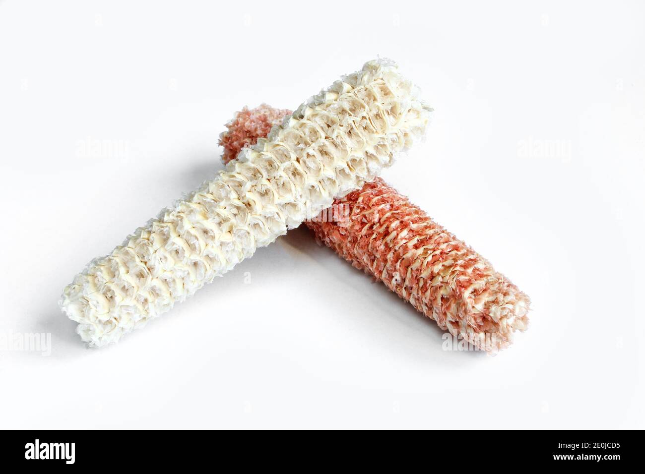 Seedless corn cobs isolated on white background.Red and white empty ...