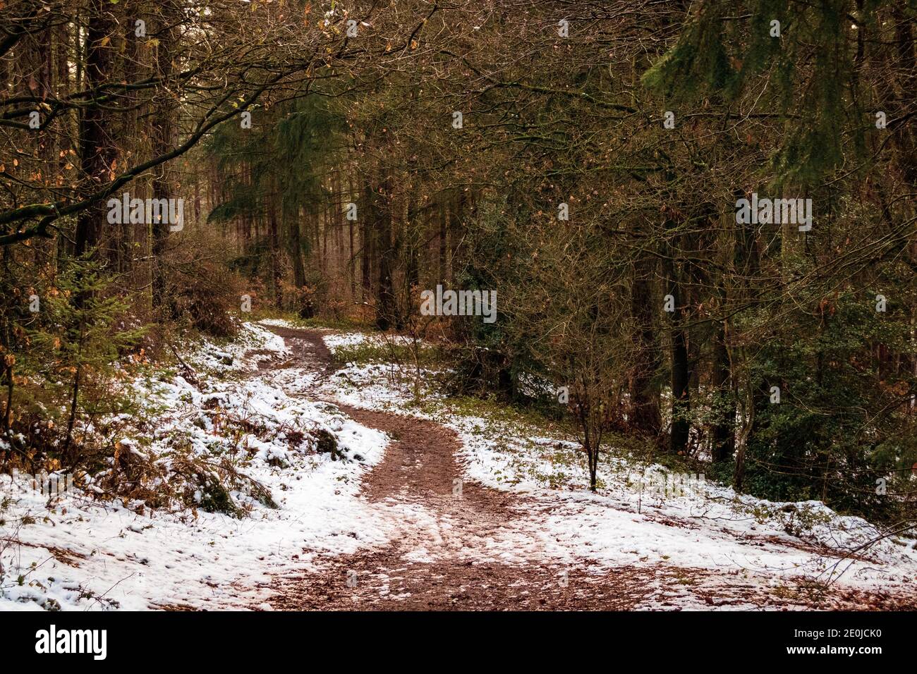 Kinver snow hi-res stock photography and images - Alamy