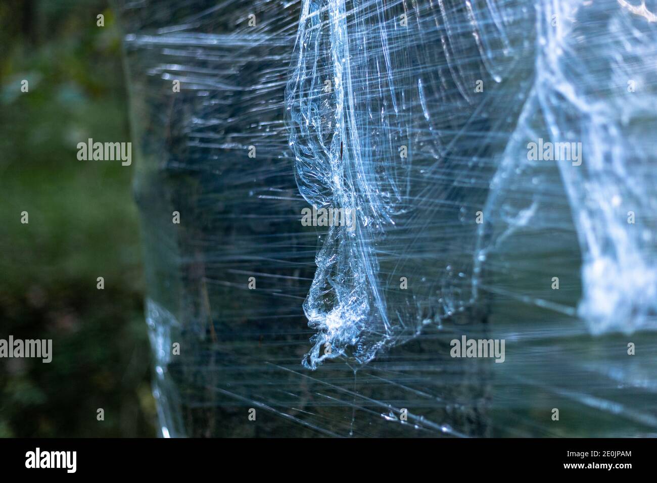 Plastic trash stuck trees in hi-res stock photography and images - Alamy