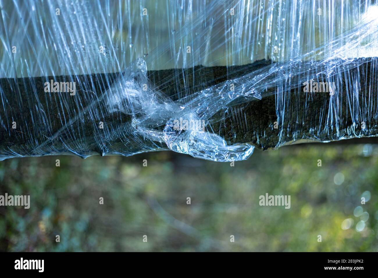 Plastic bag stuck hi-res stock photography and images - Alamy