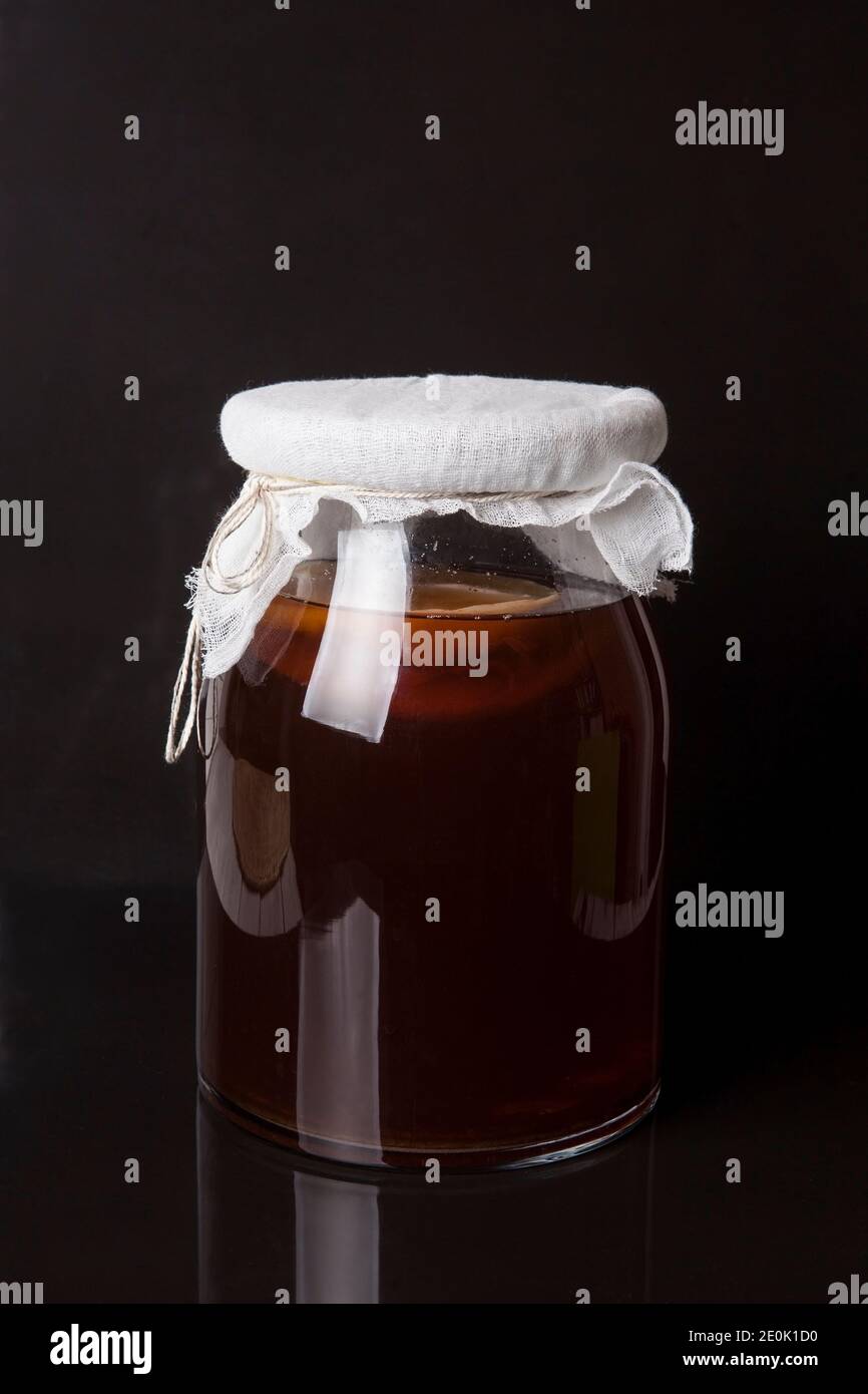 Kombucha (also tea mushroom, tea fungus, or Manchurian mushroom ...