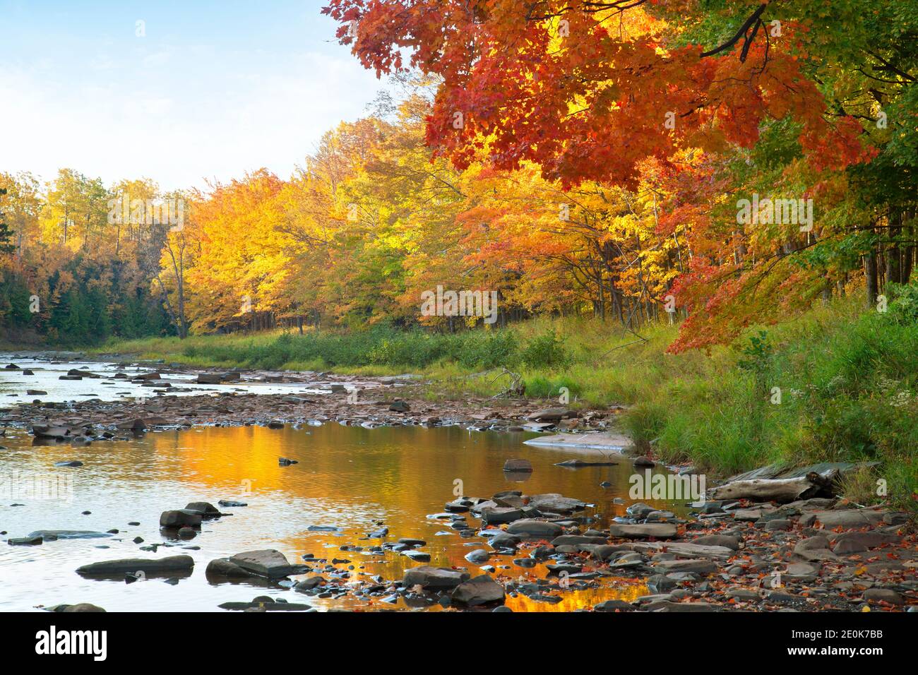 River with rocks near trees in fall color on the Upper Peninsula of ...