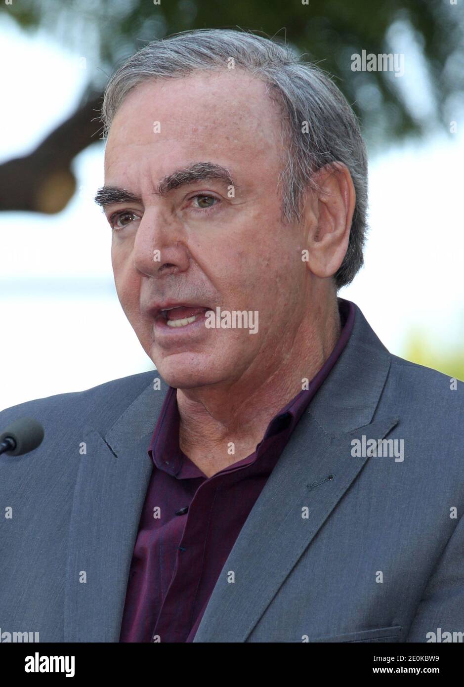 Neil Diamond honored with a Star on the Hollywood Walk of Fame at the ...