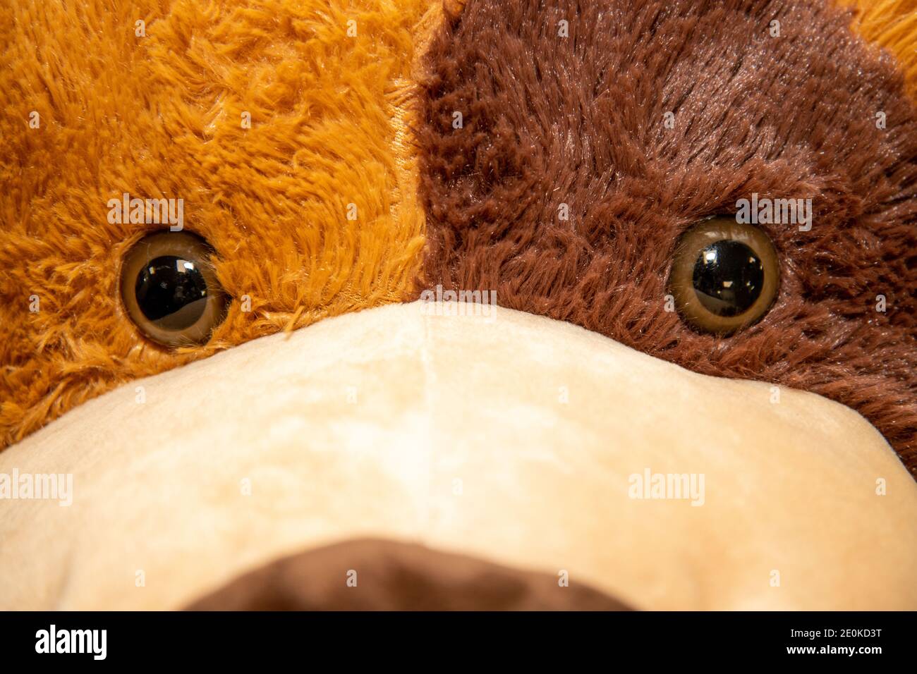 Close up photo of a teddy bears eyes, soft toy eyes looking Stock Photo ...