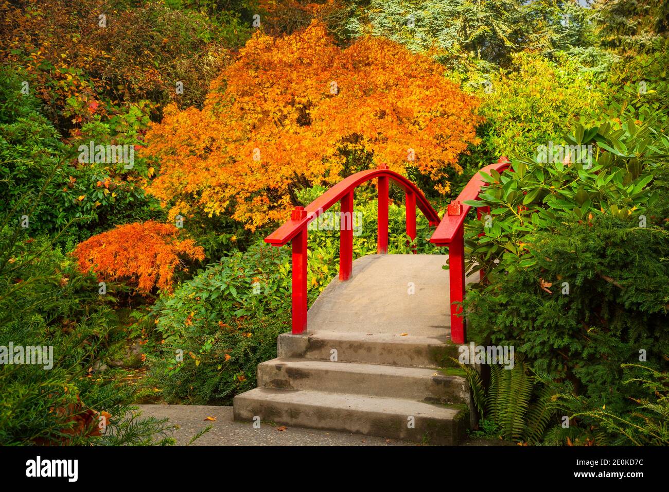 WA18956-00...WASHINGTON - Moon Bridge at Kubota Garden , a Seattle city ...