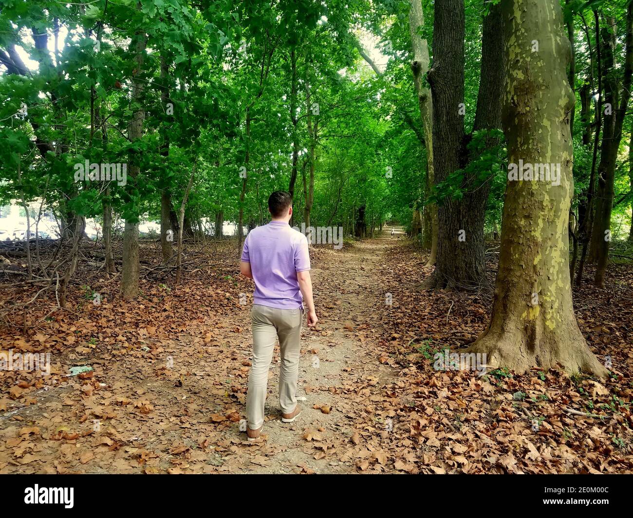 Guy walking hi-res stock photography and images - Alamy