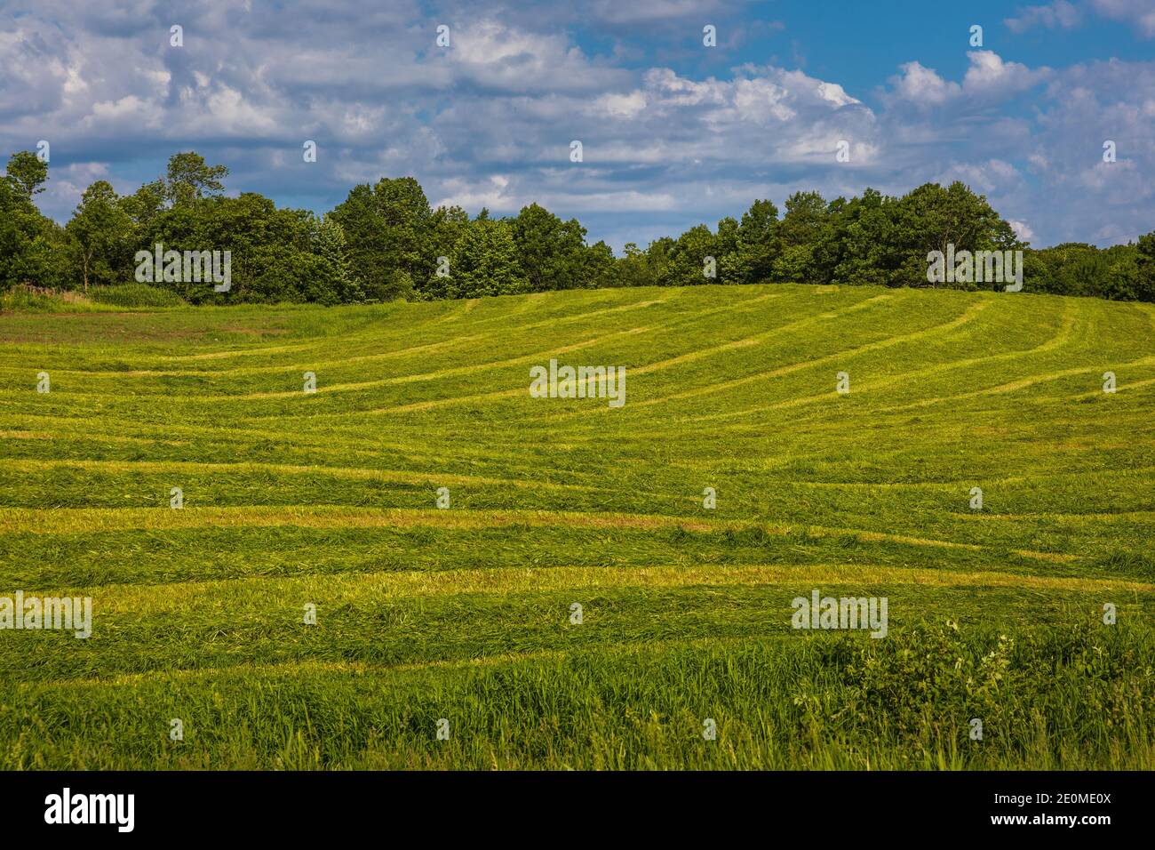Wisconsin countryside hi-res stock photography and images - Alamy