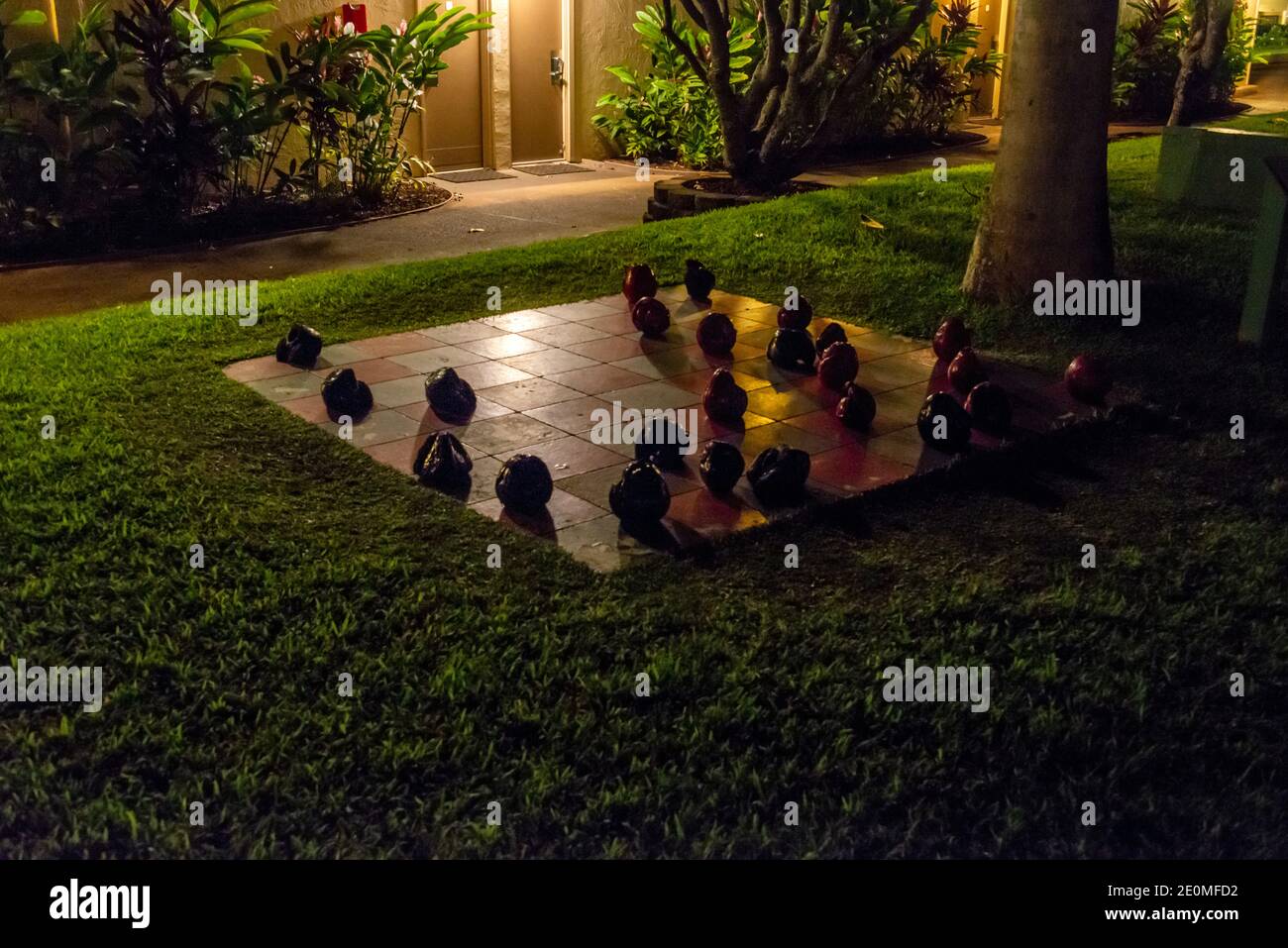 Maui, Hawaii, Magical Maui Nights, Napili Coconut Shell Checkers Stock ...