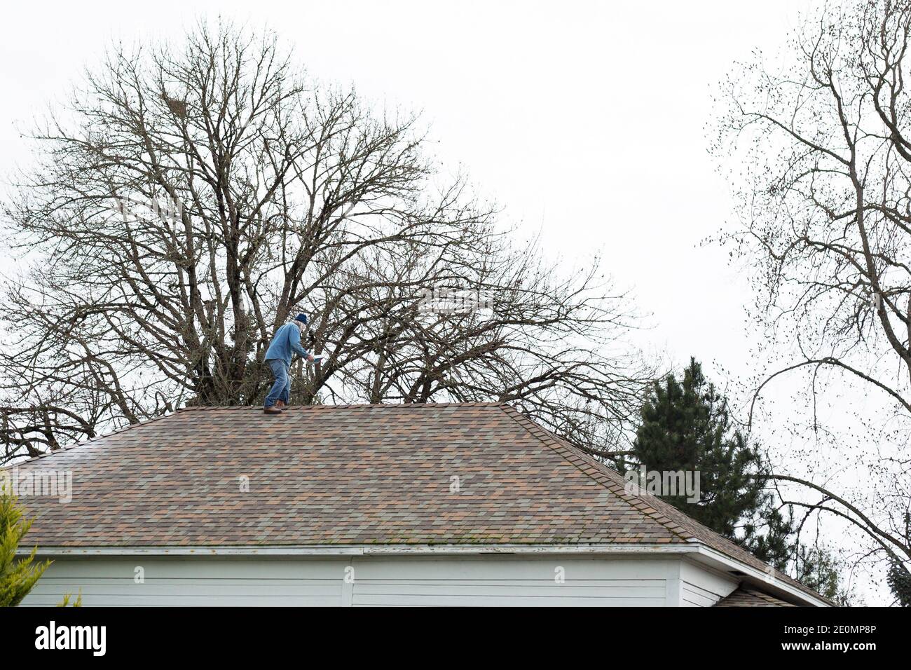 Moss spreading hi-res stock photography and images - Alamy