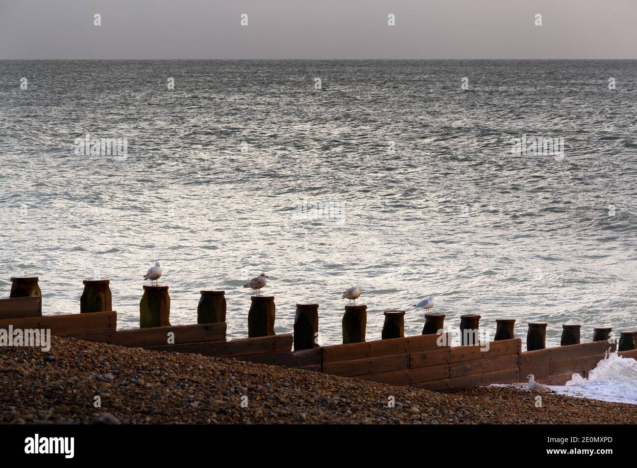 Eastbourne beach groynes hi-res stock photography and images - Alamy