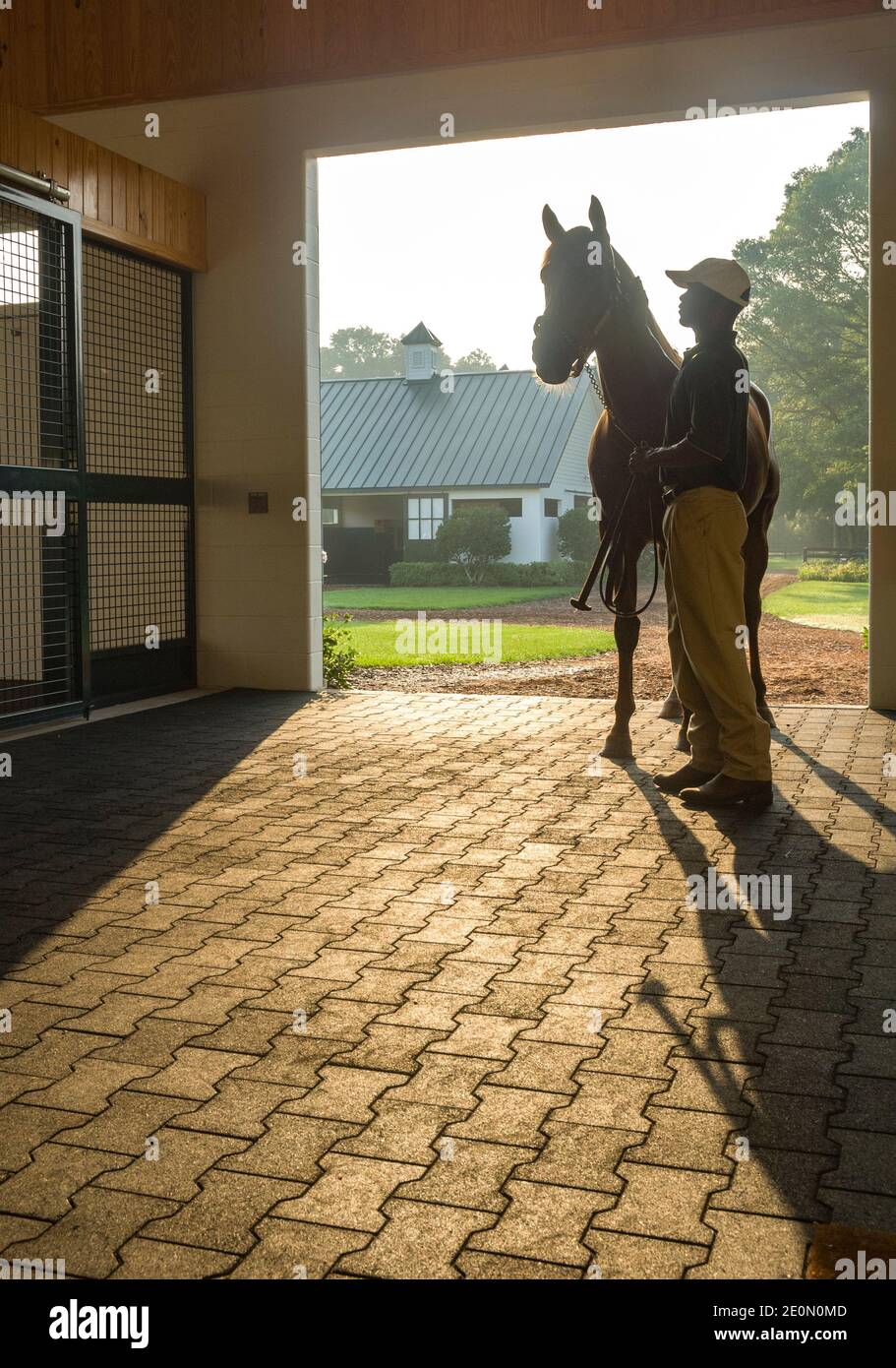 Black man groom holds Thoroughbred stallion in barn aisleway Stock ...