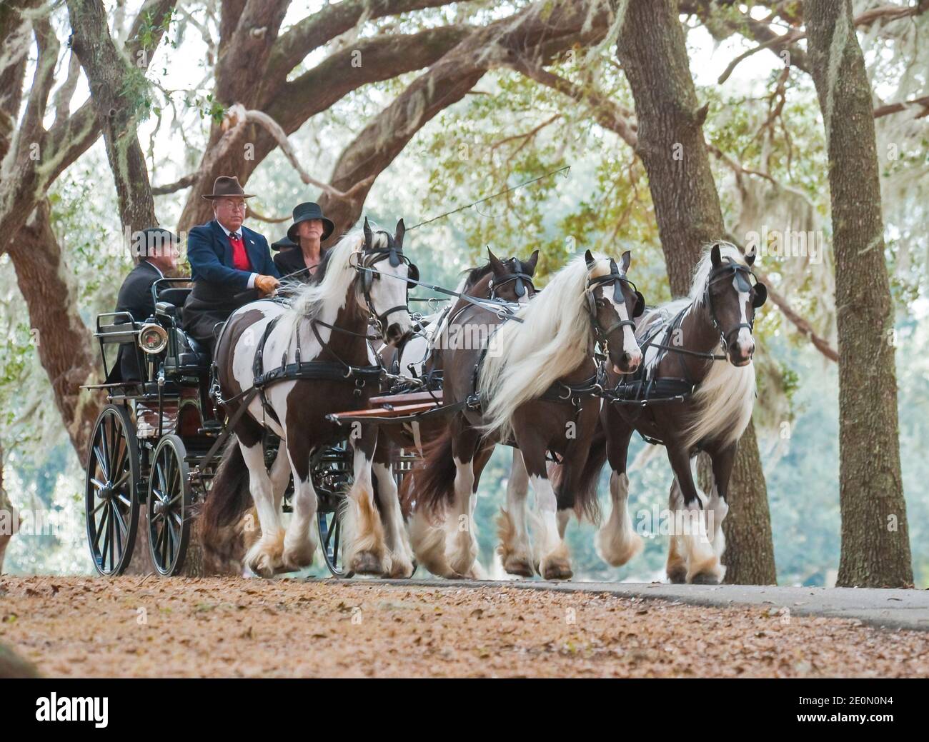 Gypsy wagon hi-res stock photography and images - Alamy