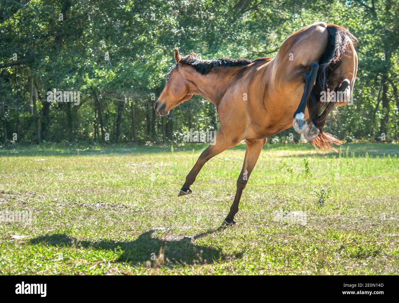 Kick your heels hi-res stock photography and images - Alamy