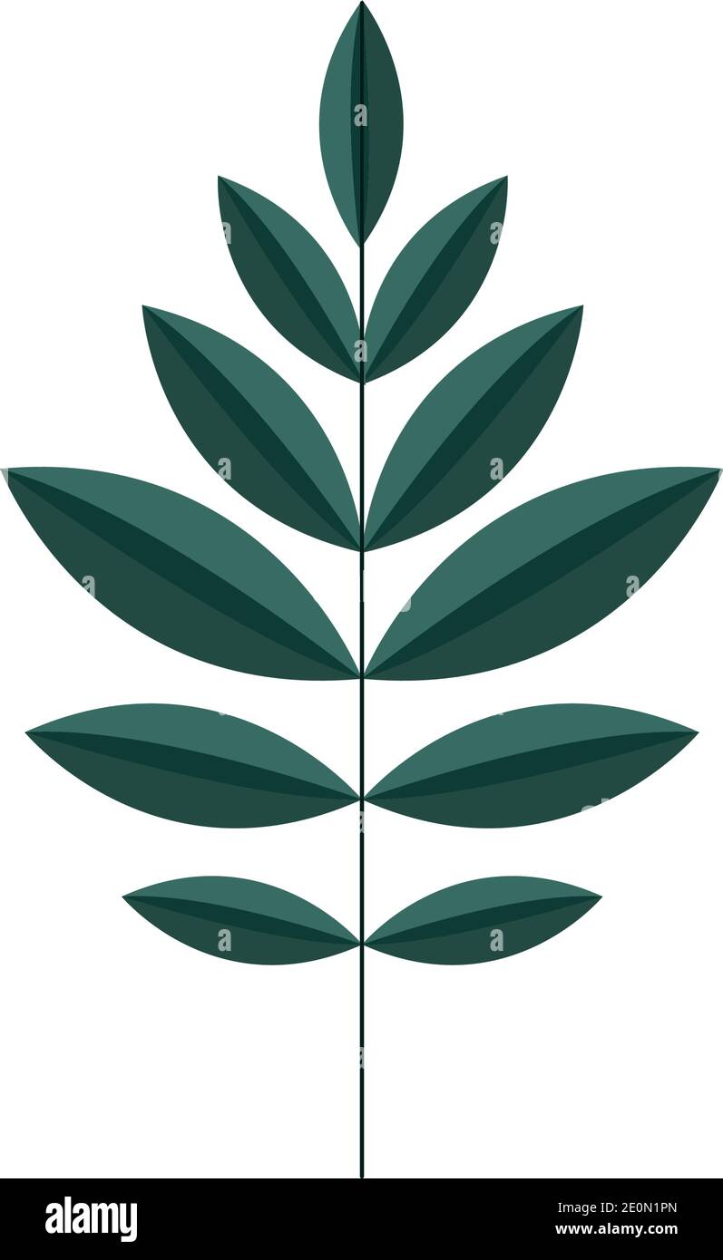 leaf design of Plant natural floral and theme Vector illustration Stock ...