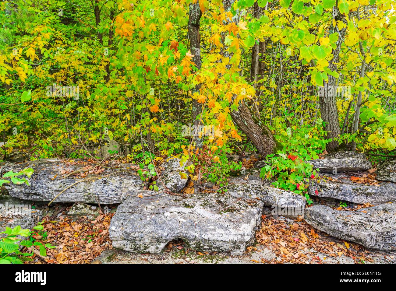Crowe Bridge Conservation Area Northumberland Ontario Canada in autumn ...