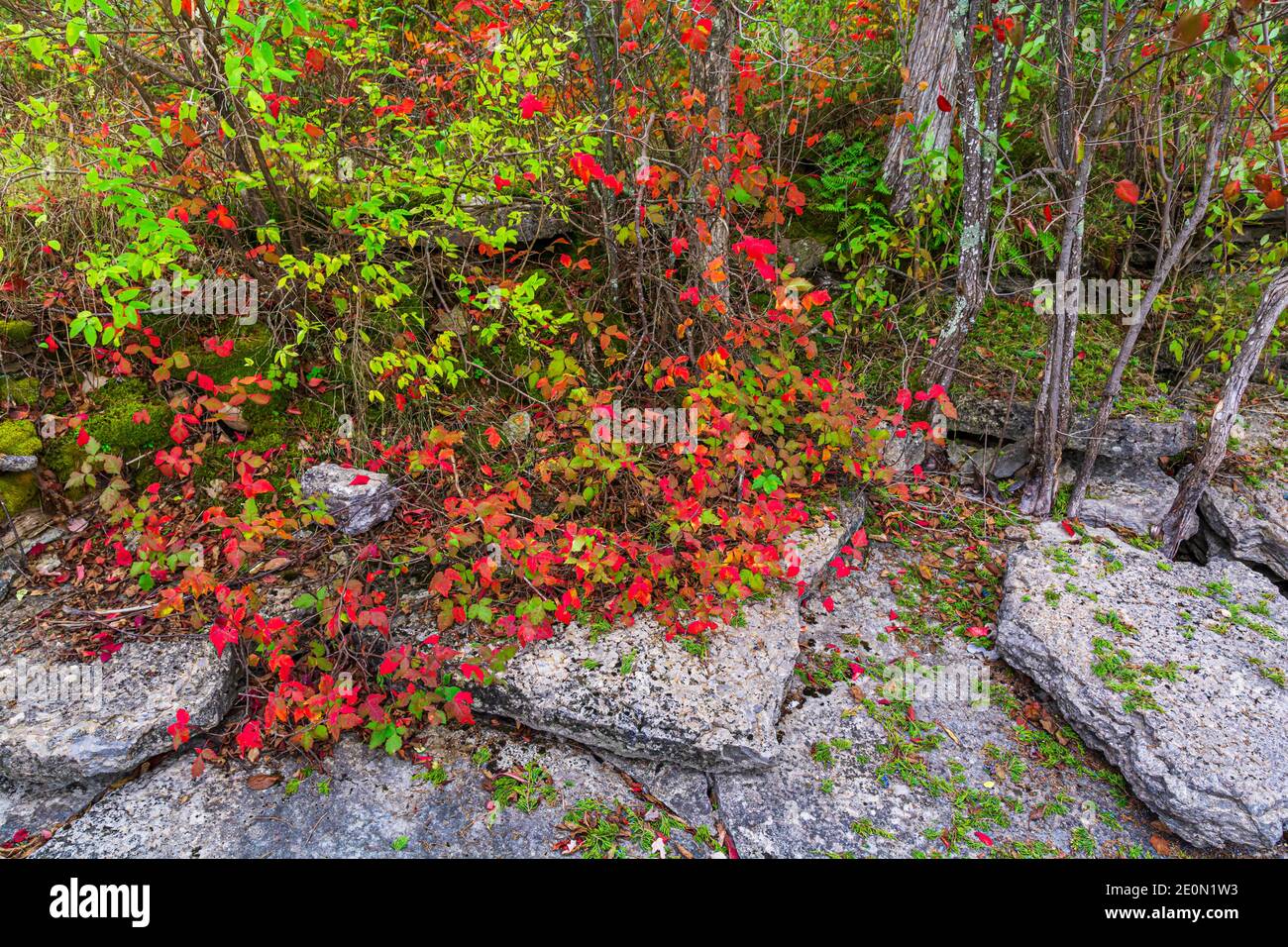 Crowe bridge hi-res stock photography and images - Alamy