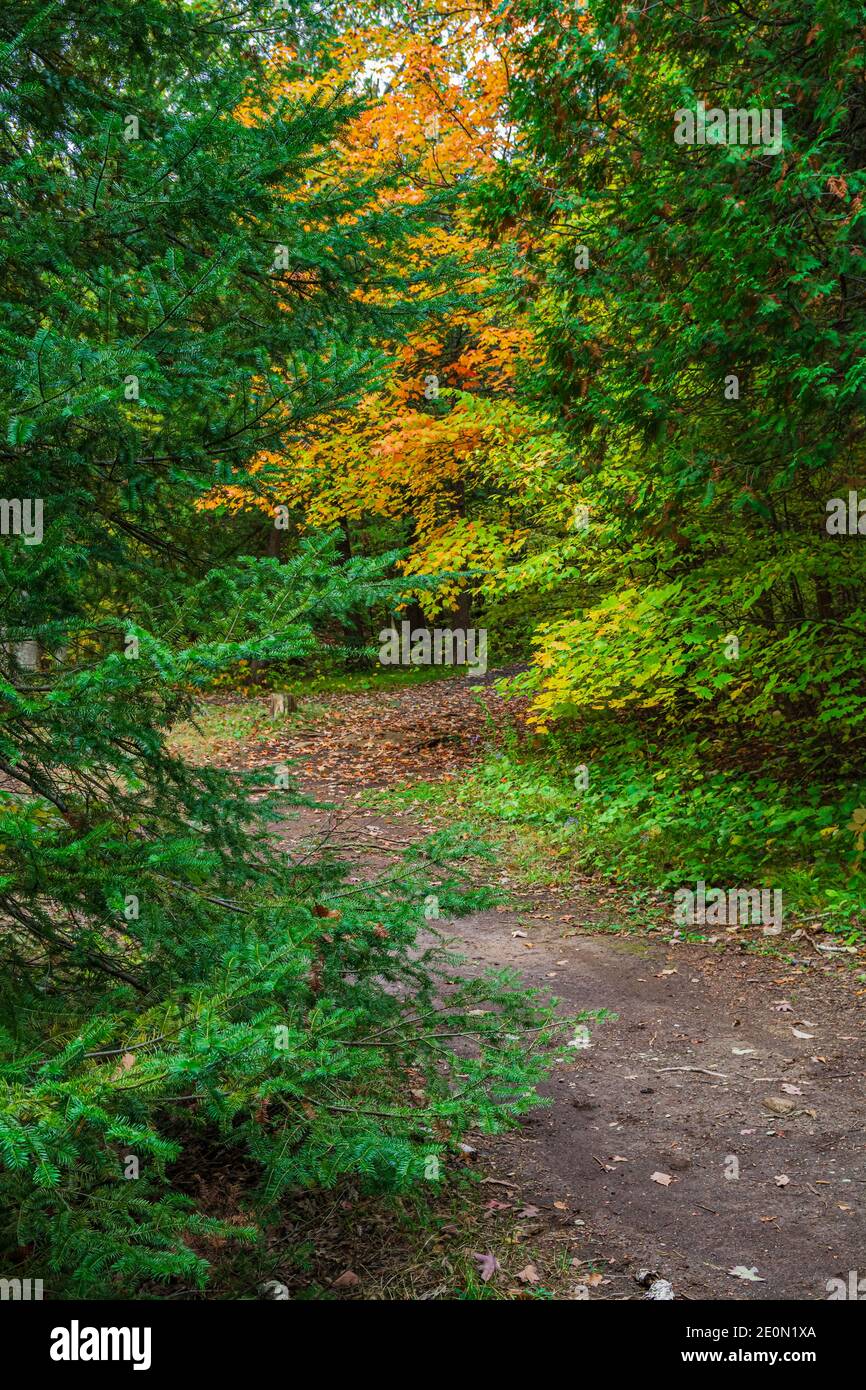 Crowe river hi-res stock photography and images - Alamy