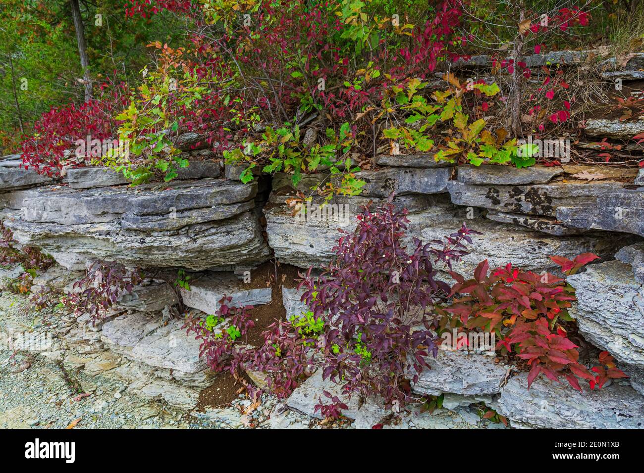 Crowe Bridge Conservation Area Northumberland Ontario Canada in autumn ...